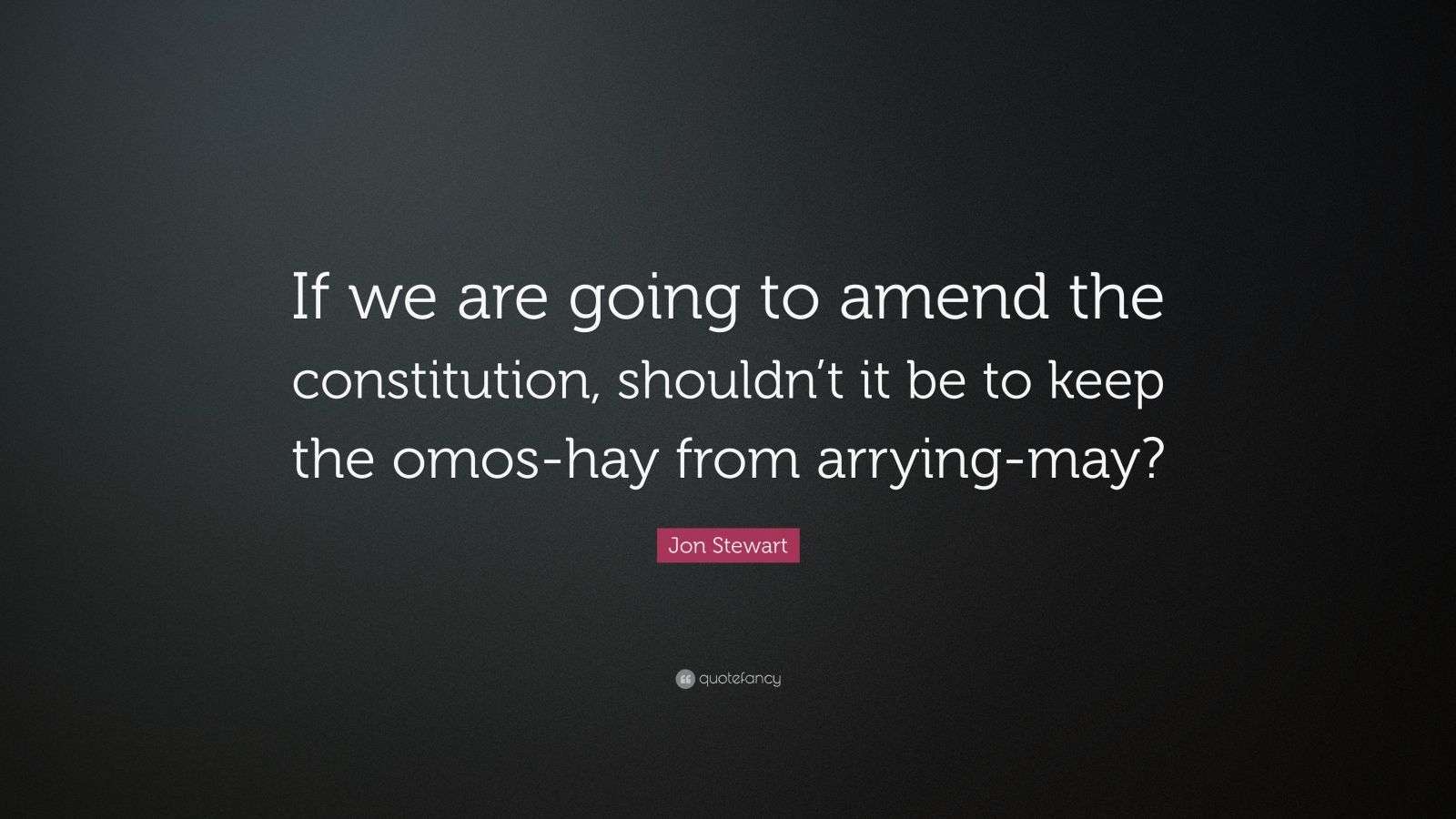 Jon Stewart Quote: “If we are going to amend the constitution, shouldn ...