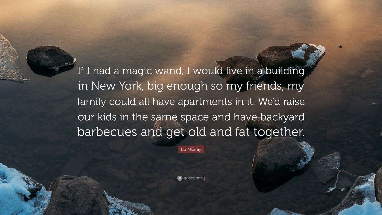 Liz Murray Quote: “If I had a magic wand, I would live in a building in ...