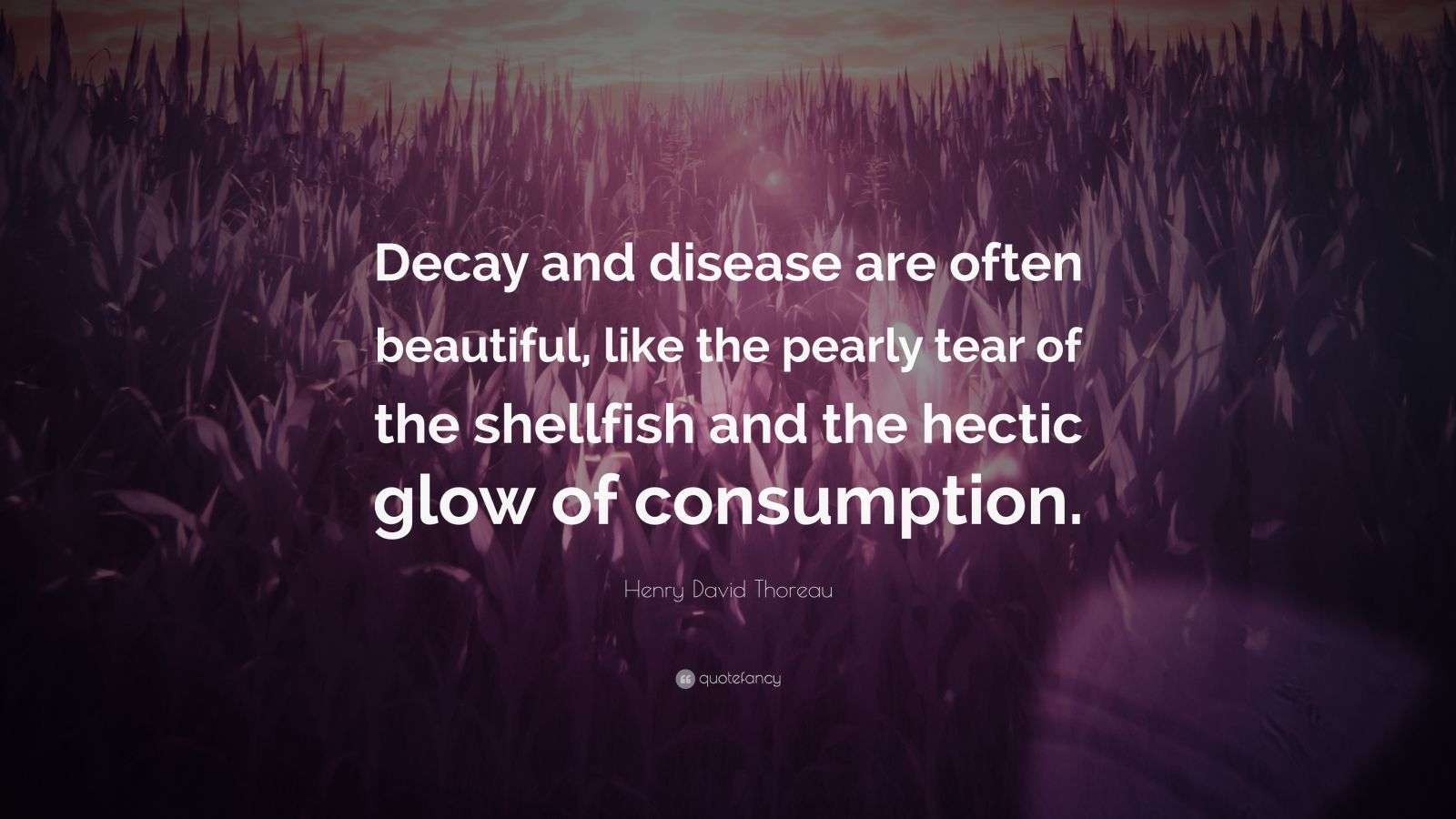 Henry David Thoreau Quote: “Decay and disease are often beautiful, like ...