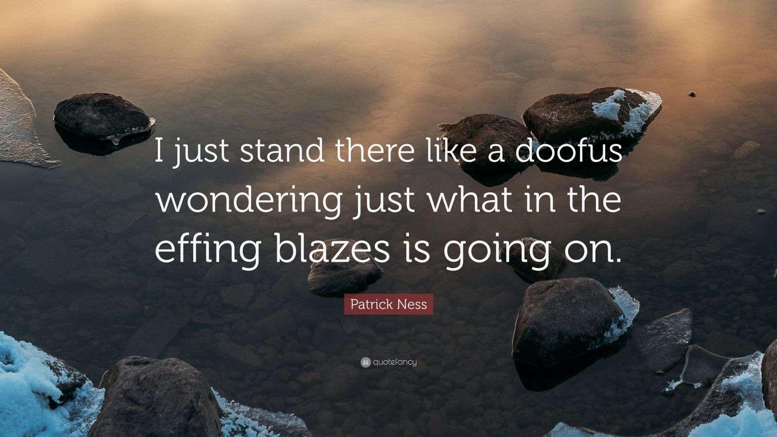 Patrick Ness Quote: “I just stand there like a doofus wondering just ...