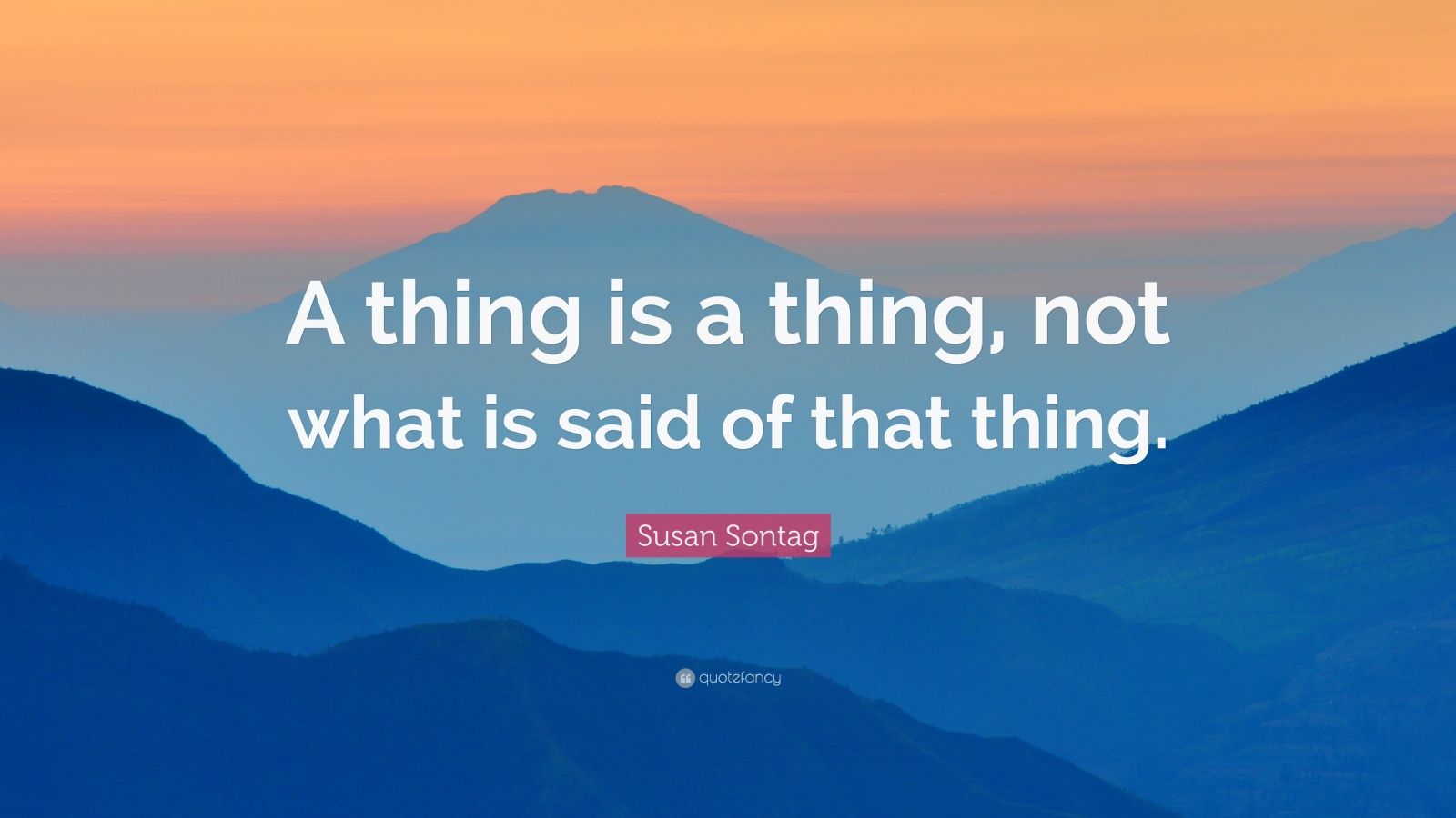 Susan Sontag Quote: “A thing is a thing, not what is said of that thing.”