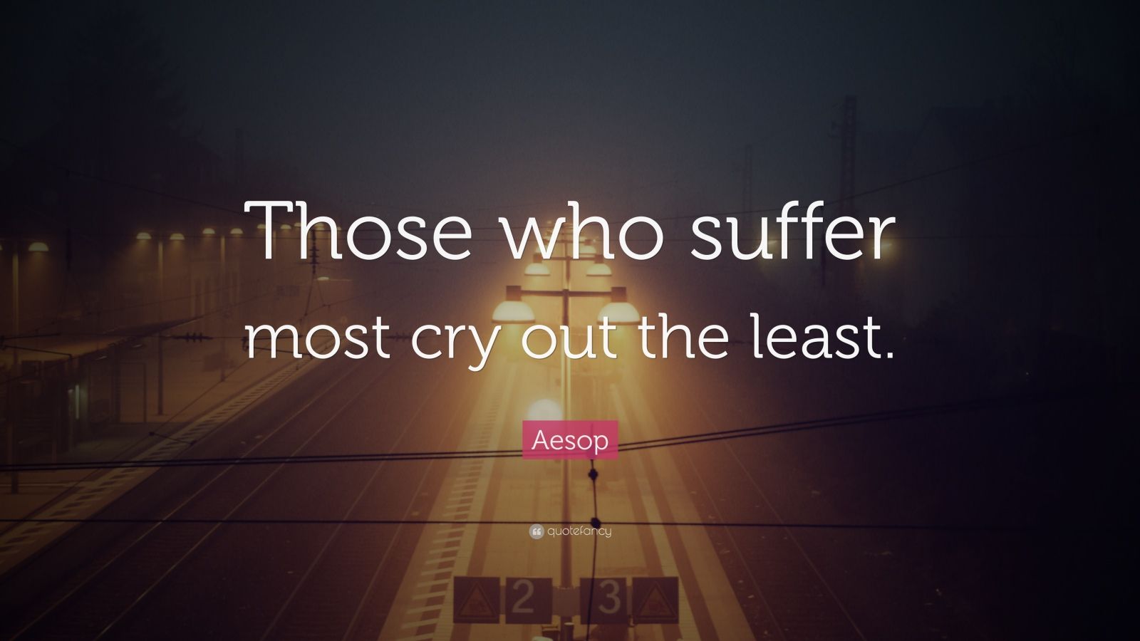 Aesop Quote: “Those who suffer most cry out the least.”