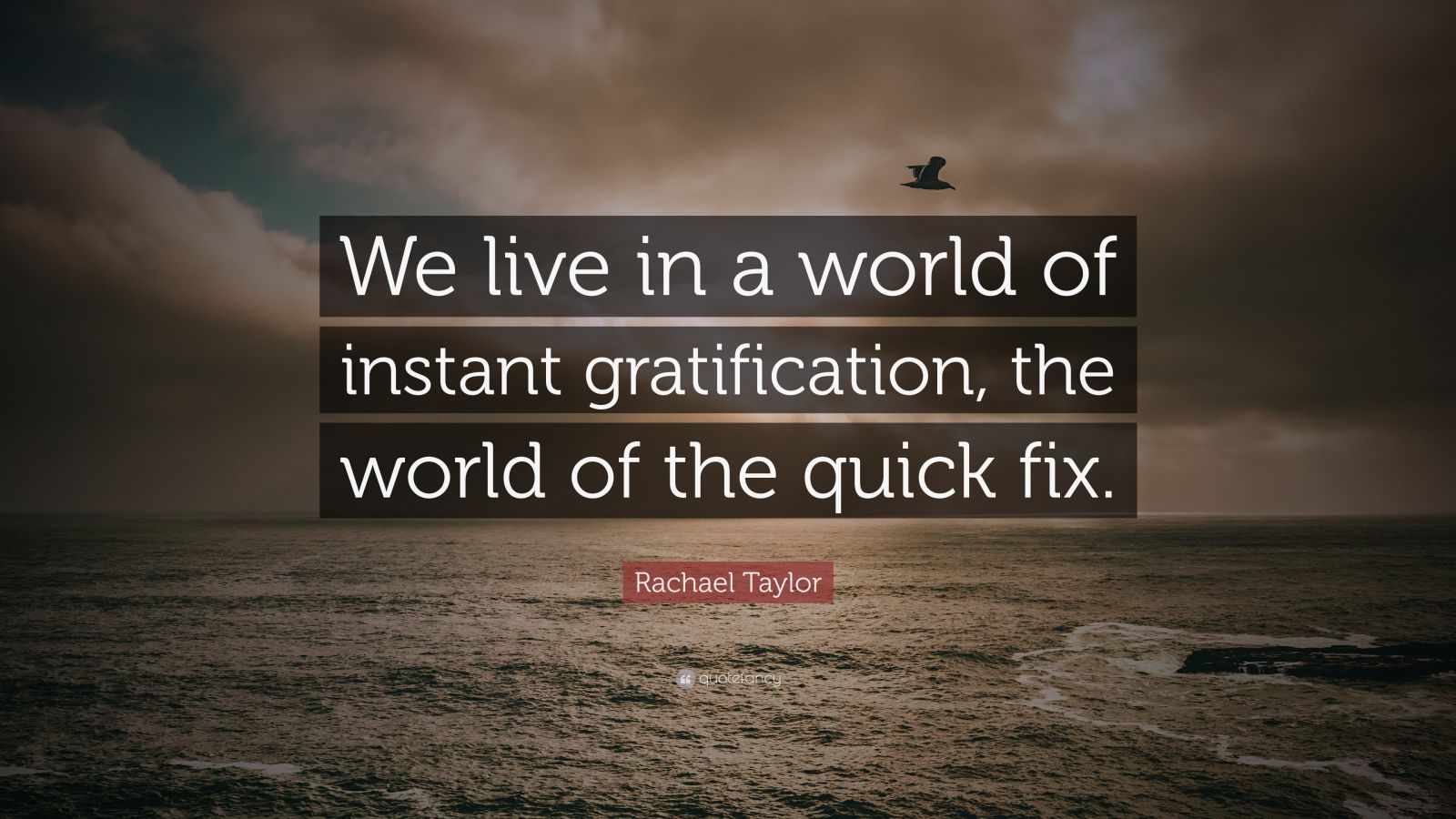 Rachael Taylor Quote: “We live in a world of instant gratification, the ...