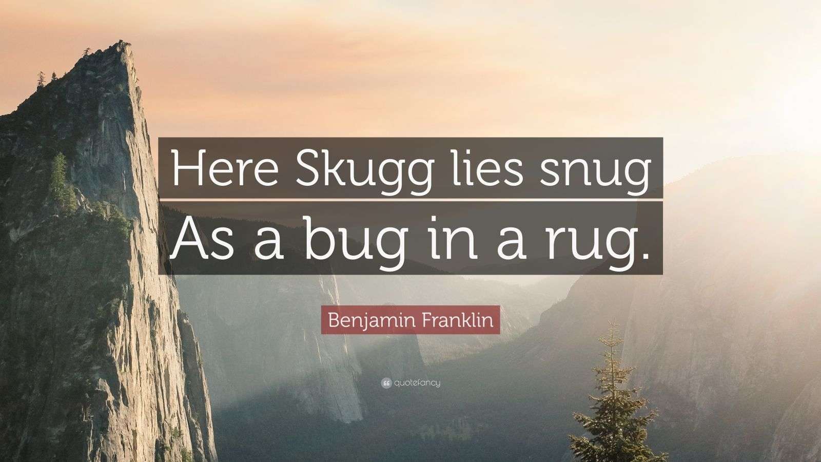 Benjamin Franklin Quote: “Here Skugg lies snug As a bug in a rug.”