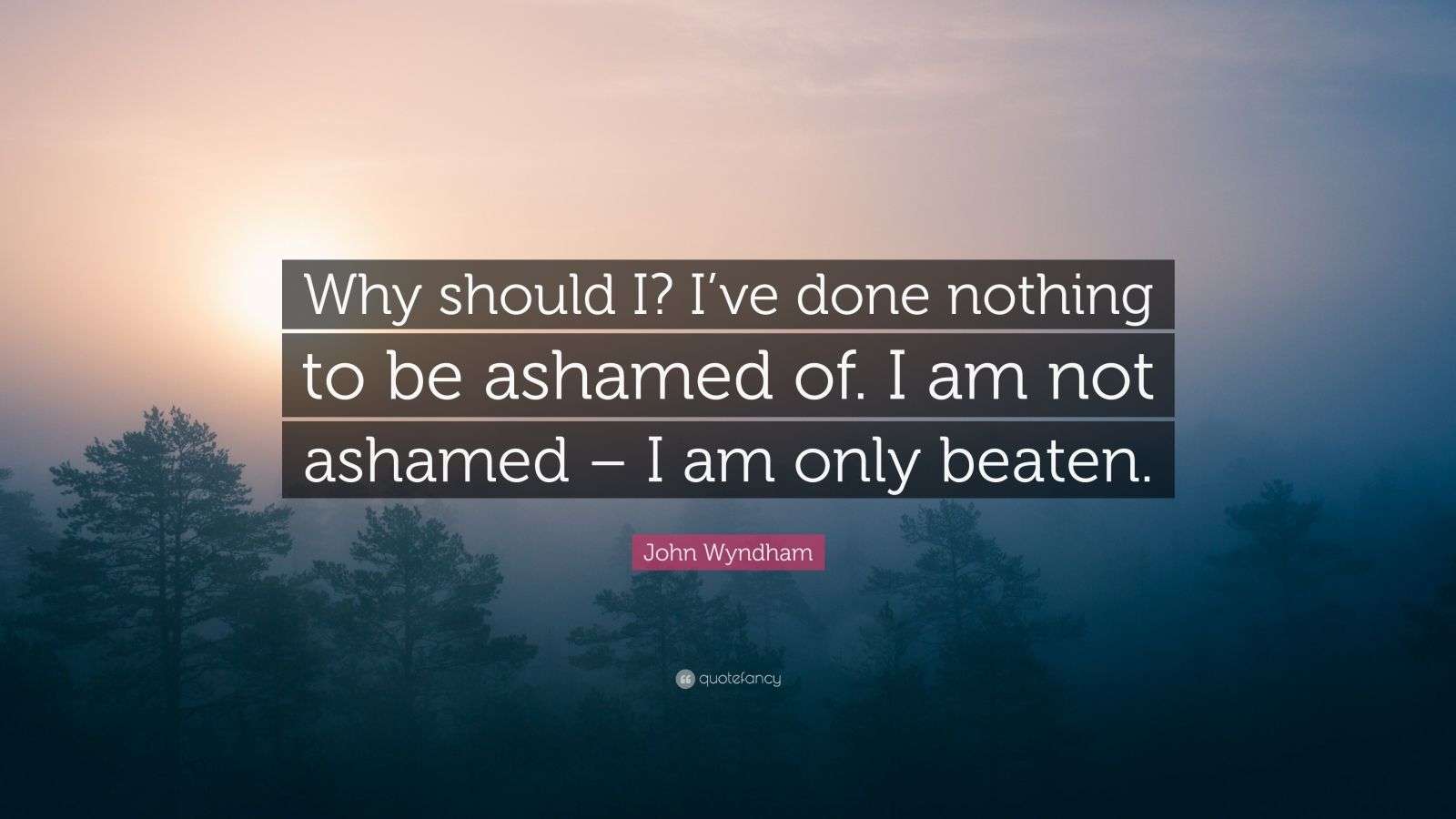 John Wyndham Quote: “Why should I? I’ve done nothing to be ashamed of ...