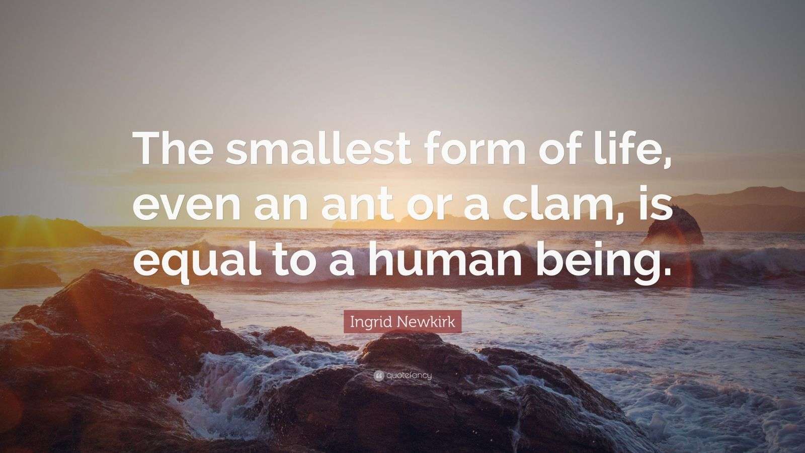 Ingrid Newkirk Quote: “The smallest form of life, even an ant or a clam ...
