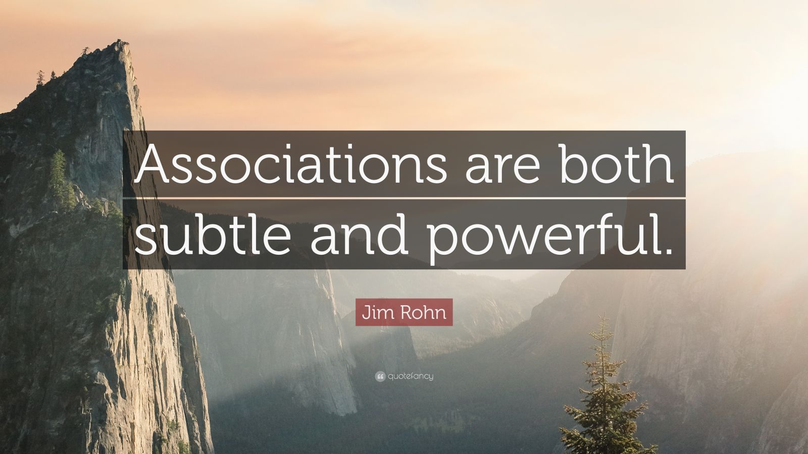Jim Rohn Quote: “Associations are both subtle and powerful.”