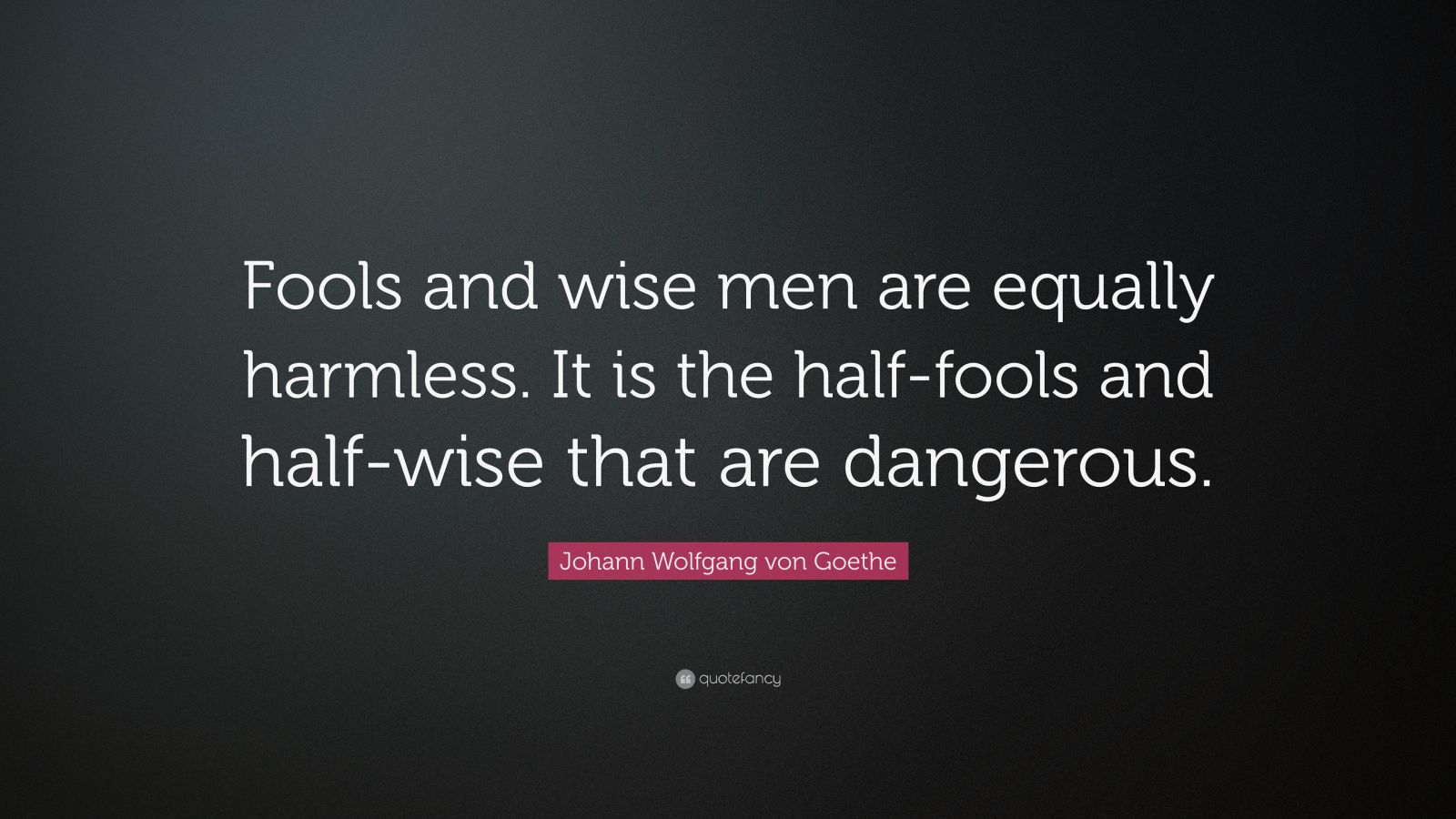 Johann Wolfgang von Goethe Quote: “Fools and wise men are equally ...