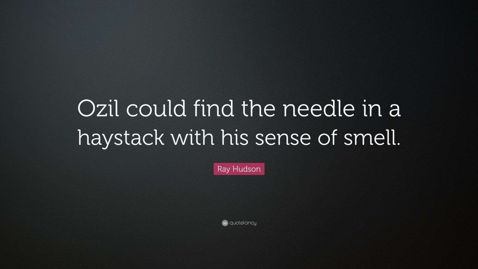 Ray Hudson Quote: “Ozil could find the needle in a haystack with his ...