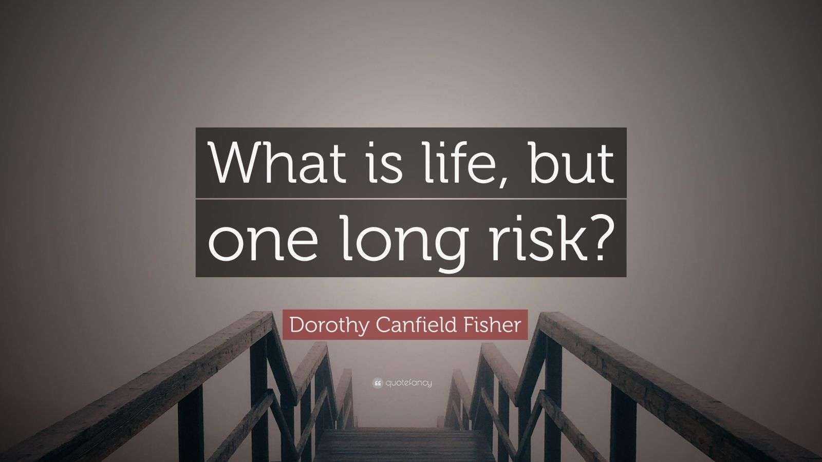 Dorothy Canfield Fisher Quote: “What is life, but one long risk?”