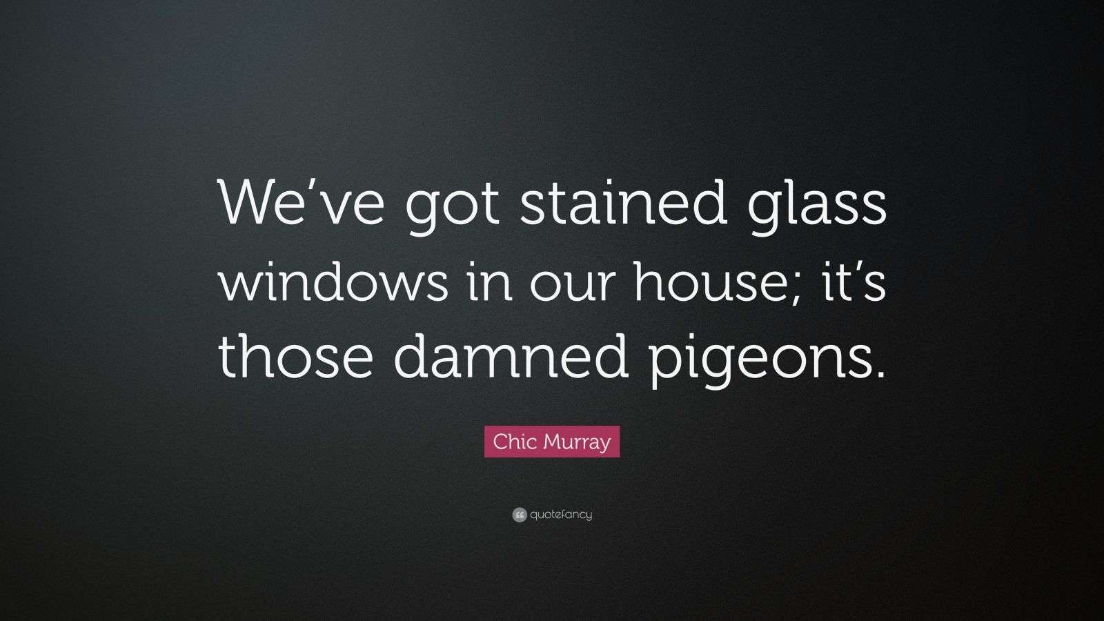 Chic Murray Quote: “We’ve got stained glass windows in our house; it’s ...