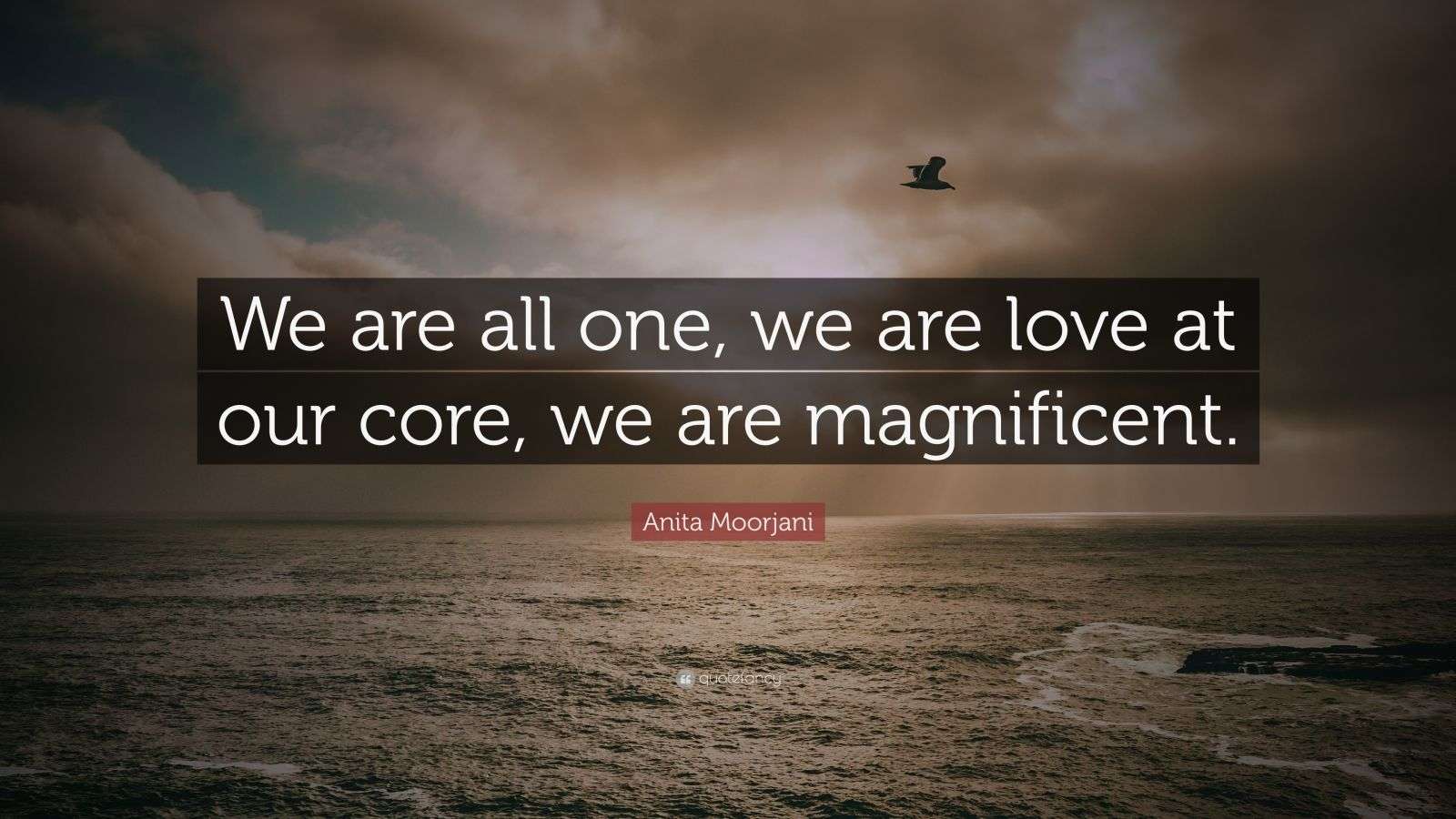 Anita Moorjani Quote: “We are all one, we are love at our core, we are ...