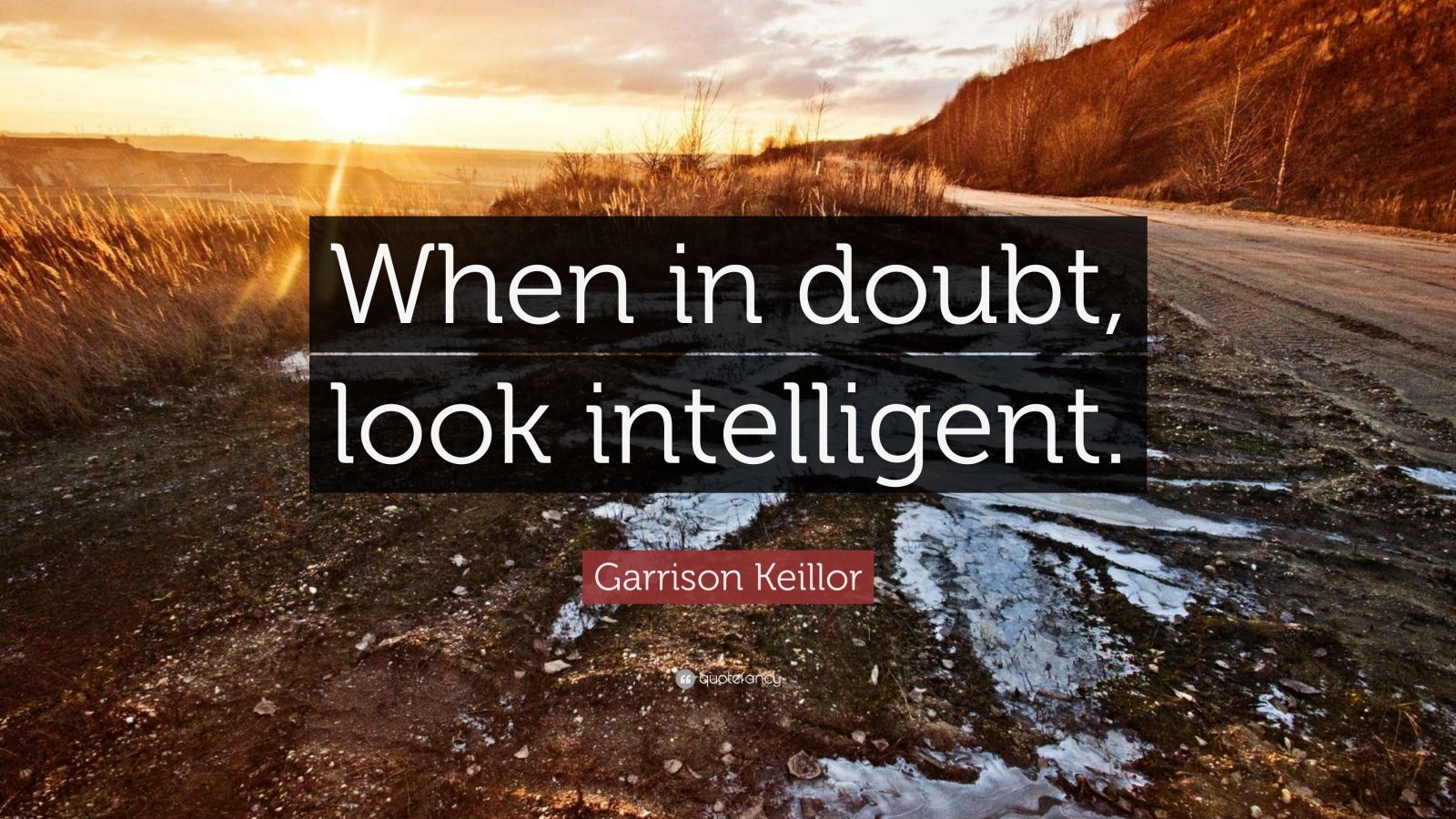 Garrison Keillor Quote: “When in doubt, look intelligent.” (7 ...