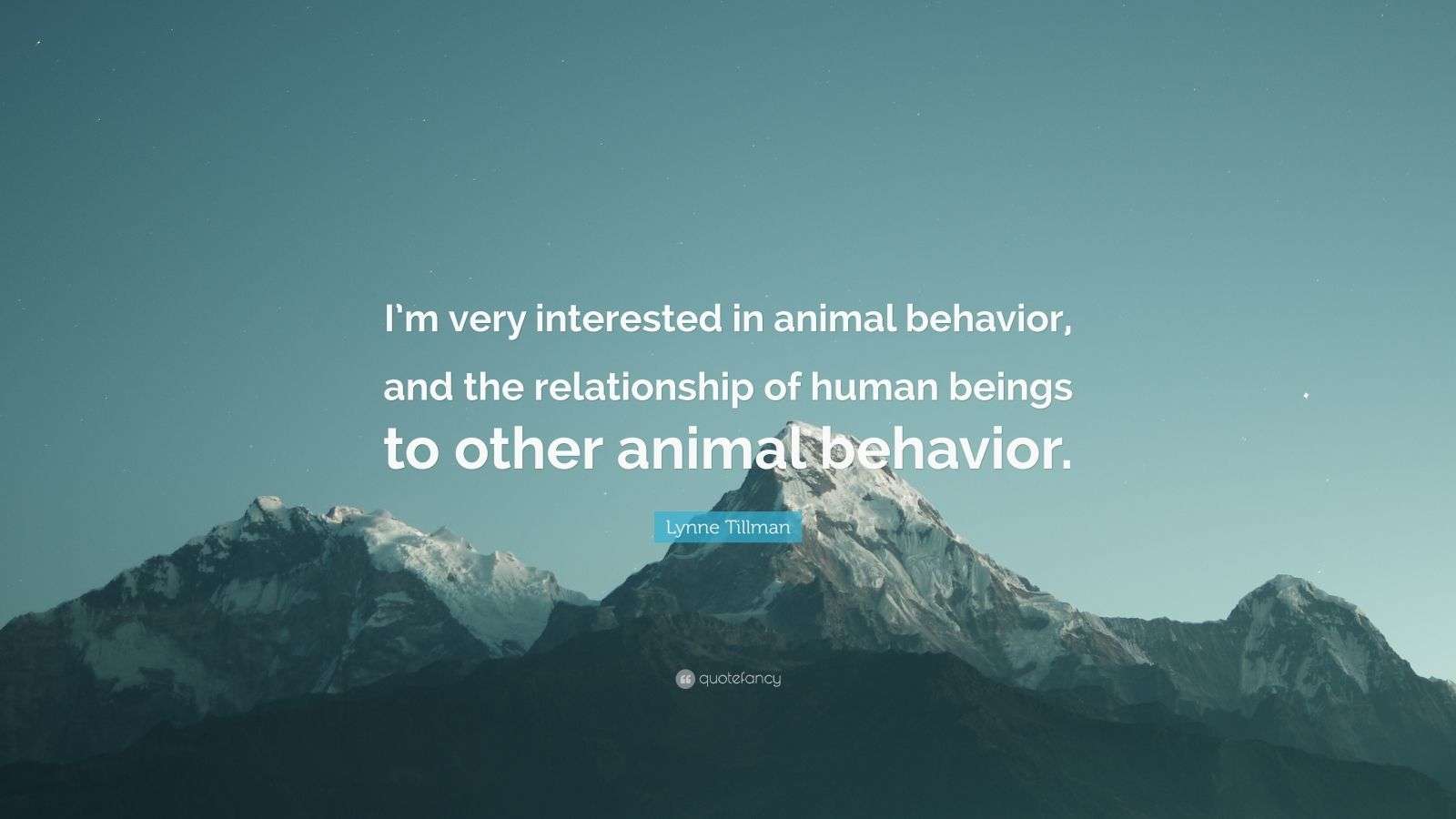 Lynne Tillman Quote: “I’m very interested in animal behavior, and the ...