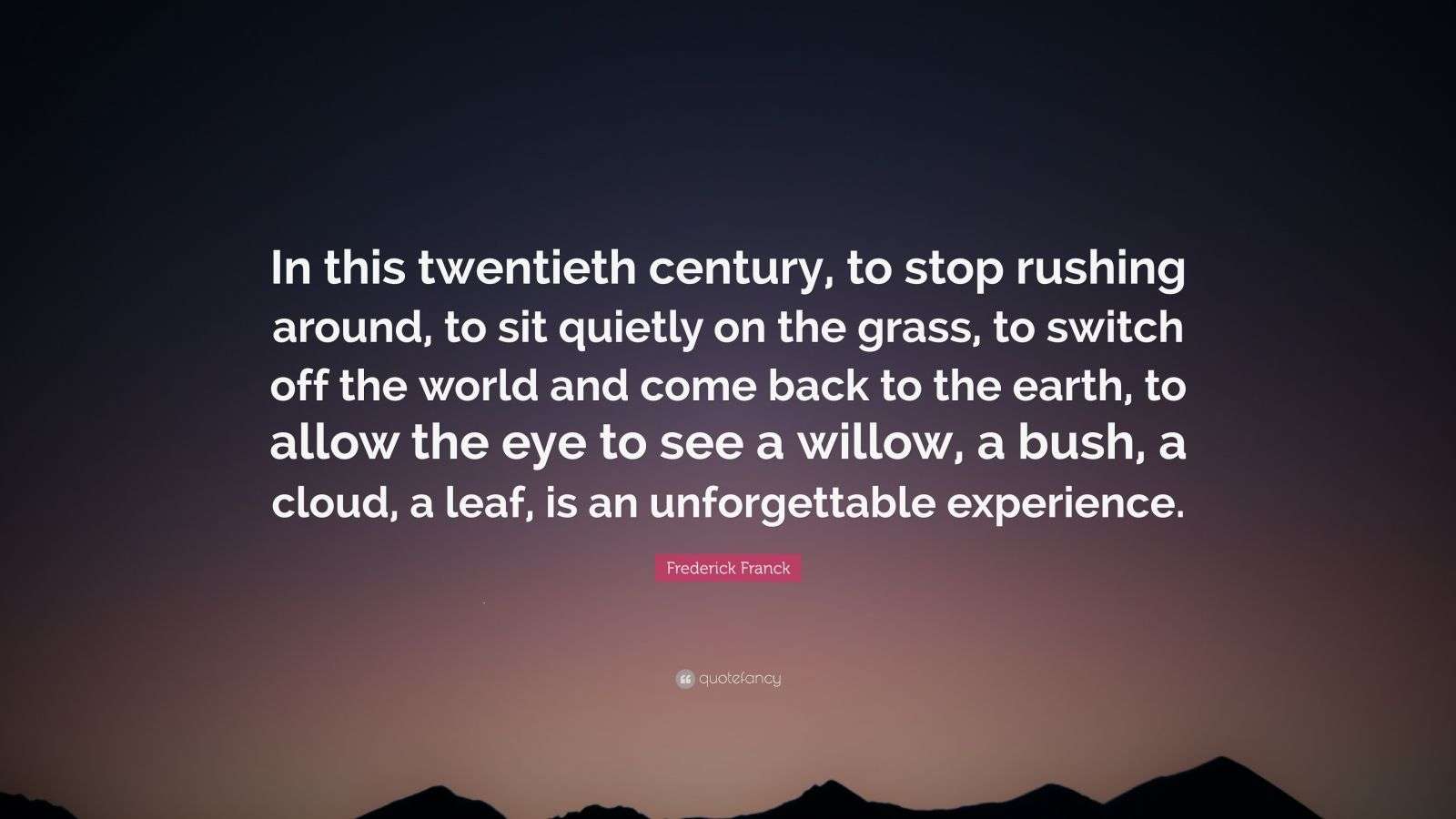 Frederick Franck Quote: “In this twentieth century, to stop rushing ...