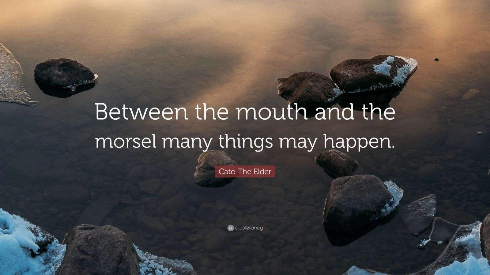 Cato The Elder Quote: “Between the mouth and the morsel many things may ...