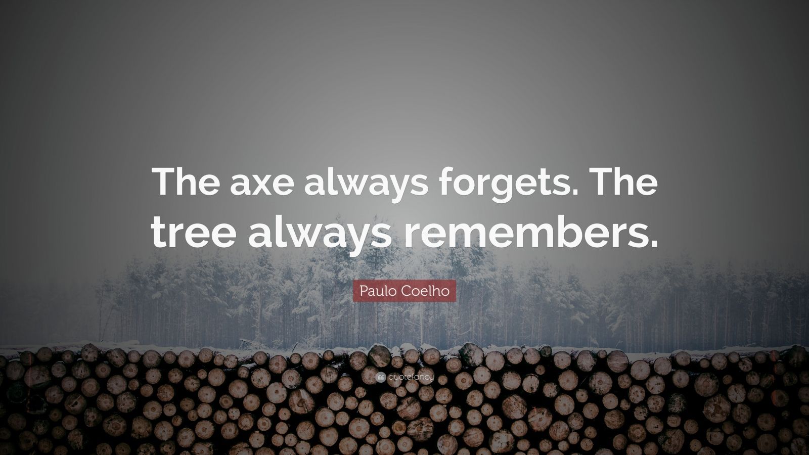 Top 500 Paulo Coelho Quotes | 2021 Edition | Free Images - QuoteFancy