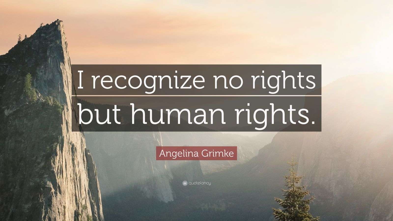Angelina Grimke Quote: “I recognize no rights but human rights.”