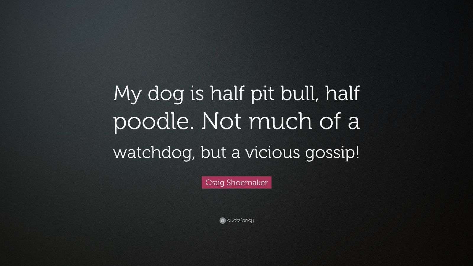 Craig Shoemaker Quote: “My dog is half pit bull, half poodle. Not much ...
