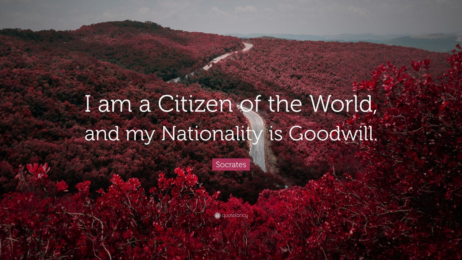 Socrates Quote: “I am a Citizen of the World, and my Nationality is ...