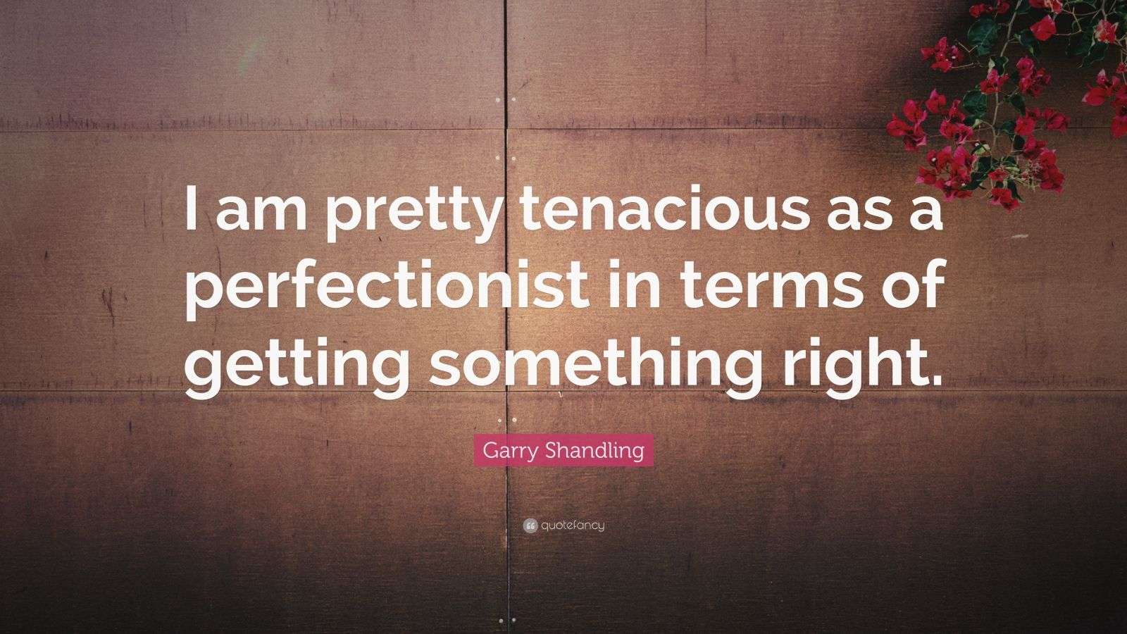 Garry Shandling Quote: “I am pretty tenacious as a perfectionist in ...