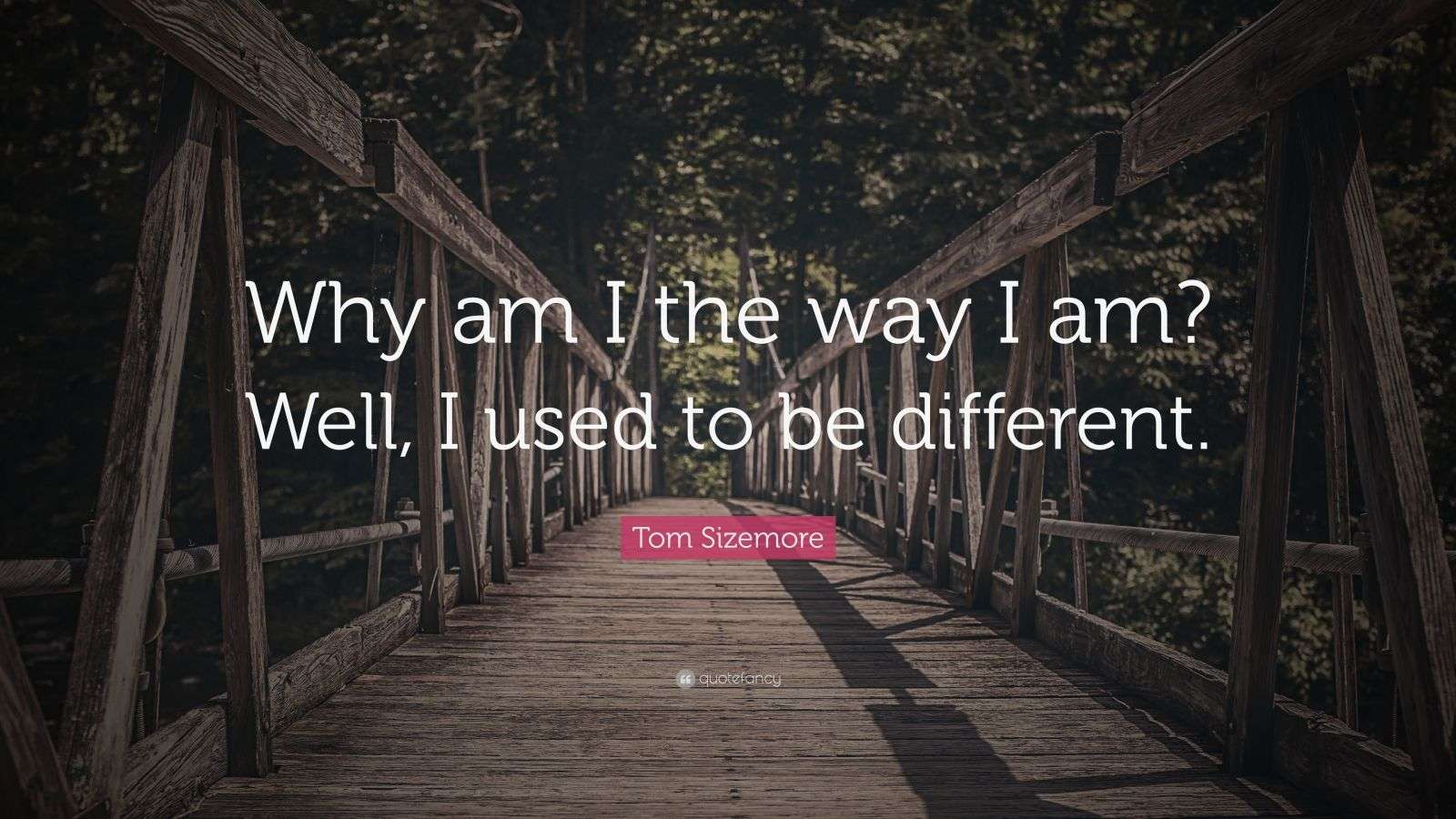Tom Sizemore Quote: “Why am I the way I am? Well, I used to be different.”