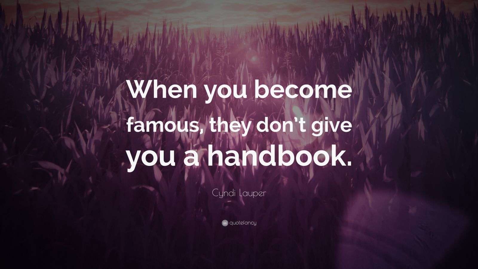 Cyndi Lauper Quote: “When you become famous, they don’t give you a ...