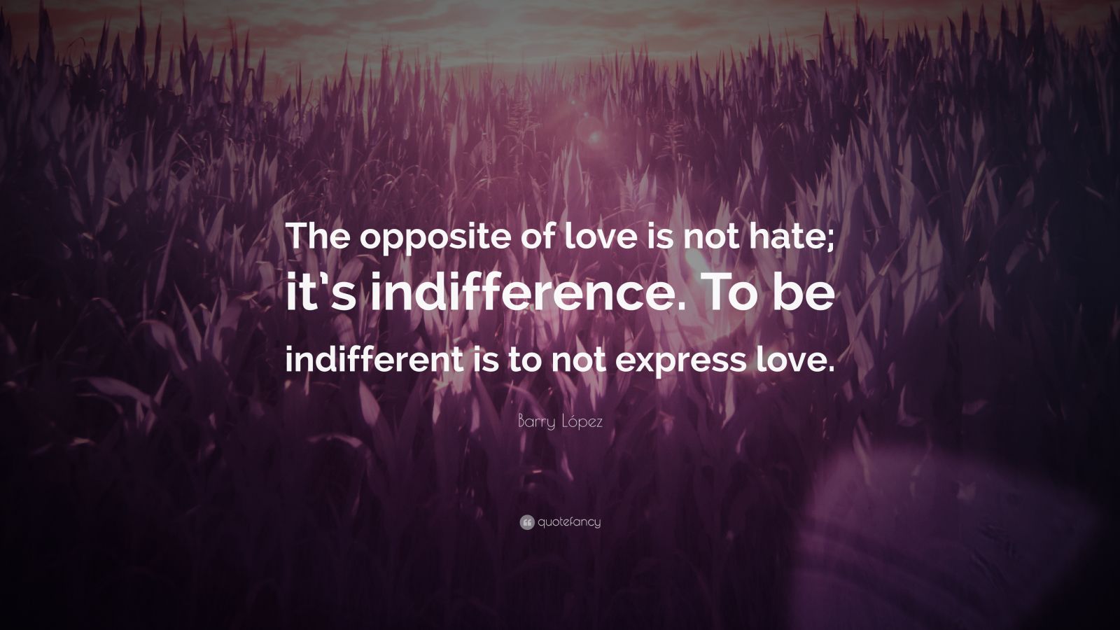 Barry López Quote: “The opposite of love is not hate; it’s indifference. To be indifferent is to ...