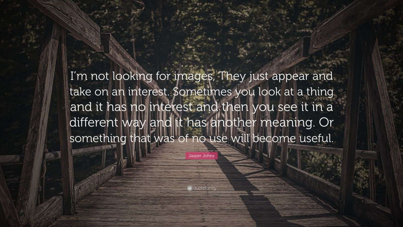 Jasper Johns Quote: “I’m not looking for images, They just appear and ...