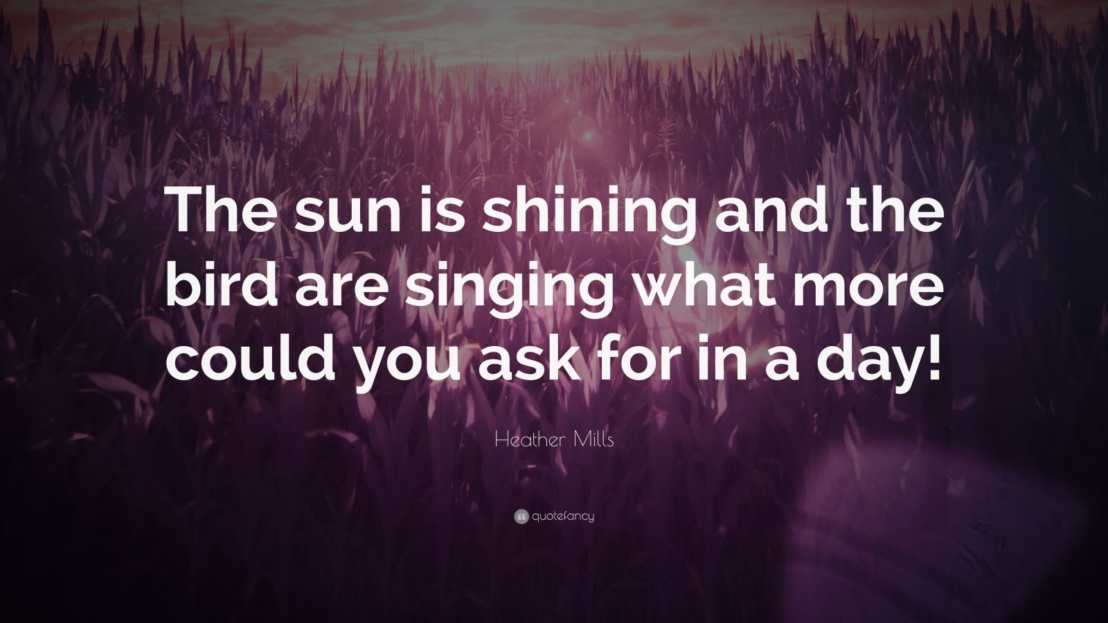 Heather Mills Quote: “The sun is shining and the bird are singing what ...