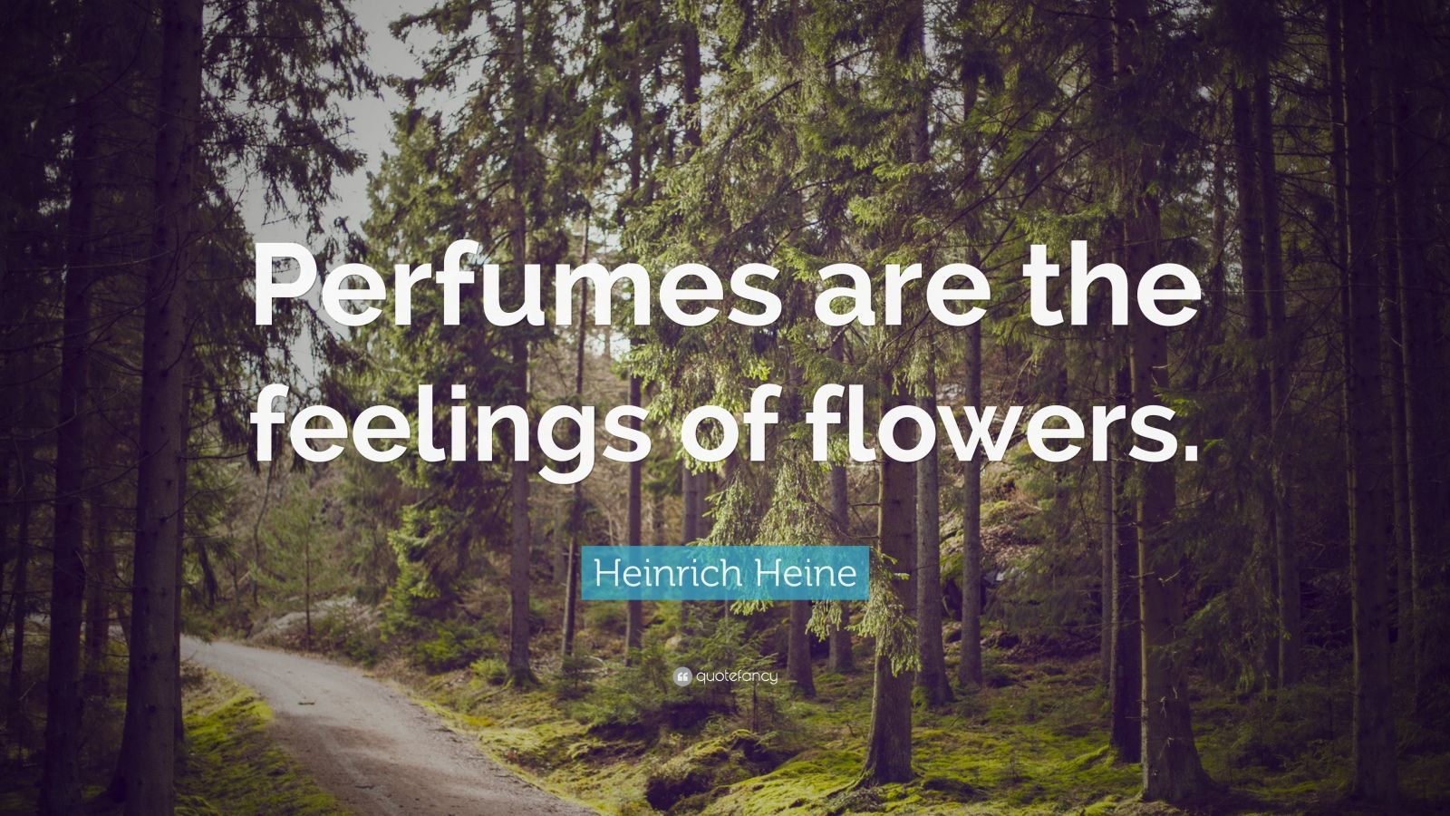 Top 180 Heinrich Heine Quotes (2024 Update) [Page 3] - QuoteFancy