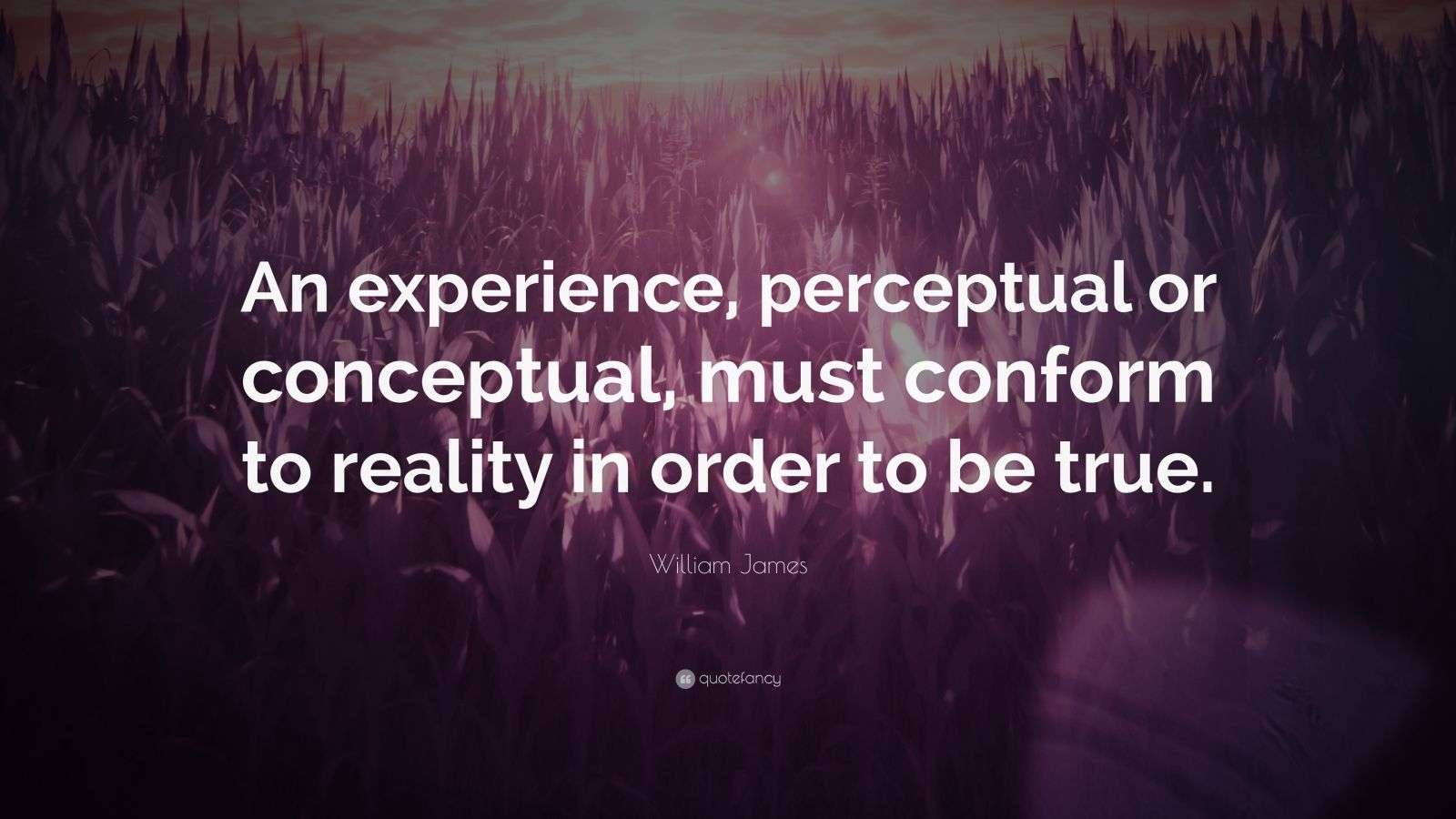 William James Quote: “An experience, perceptual or conceptual, must ...