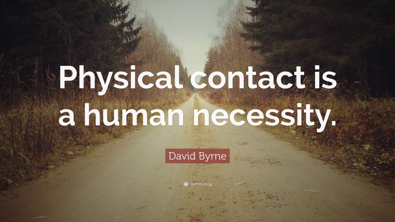 David Byrne Quote: “Physical contact is a human necessity.”