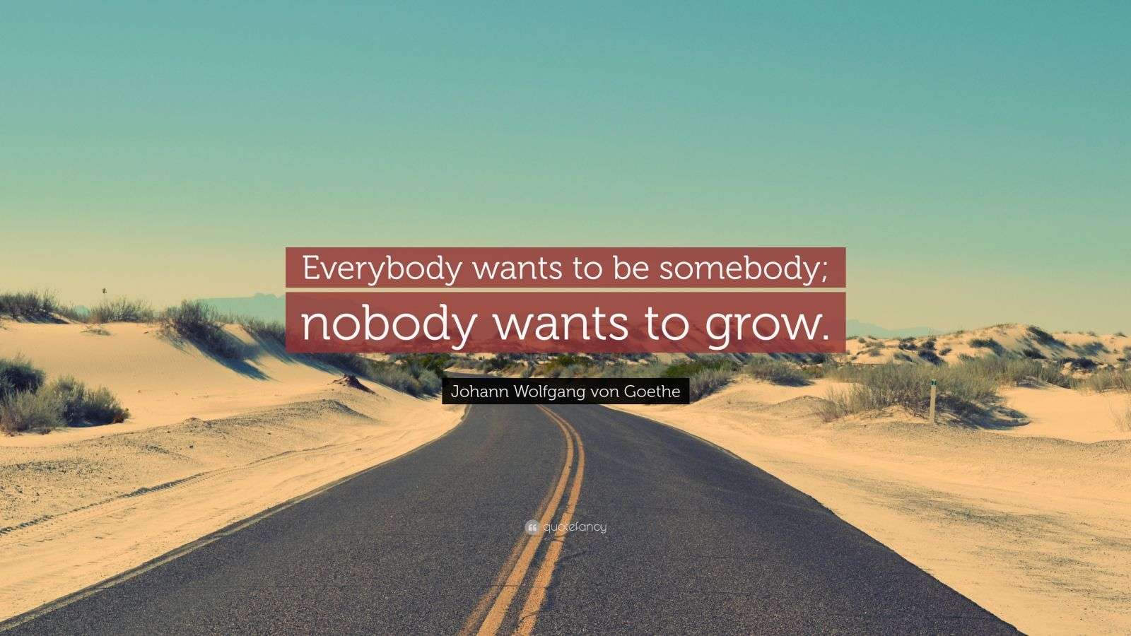 Johann Wolfgang von Goethe Quote: “Everybody wants to be somebody ...
