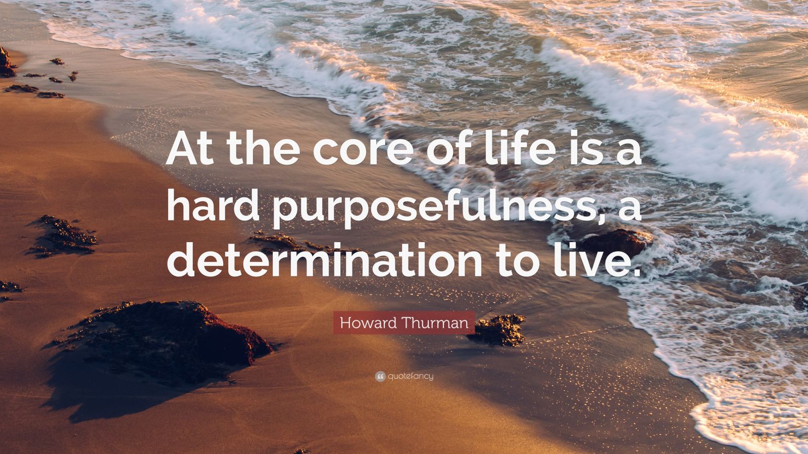 Howard Thurman Quote: “At the core of life is a hard purposefulness, a ...