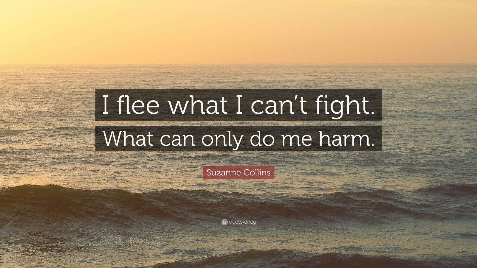 Suzanne Collins Quote: “I flee what I can’t fight. What can only do me ...