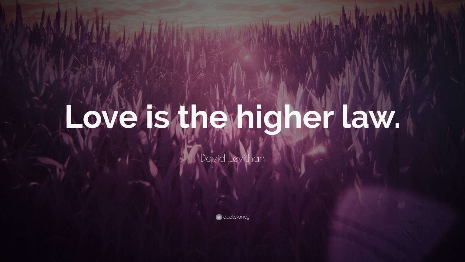 David Levithan Quote: “Love is the higher law.” (7 wallpapers) - Quotefancy