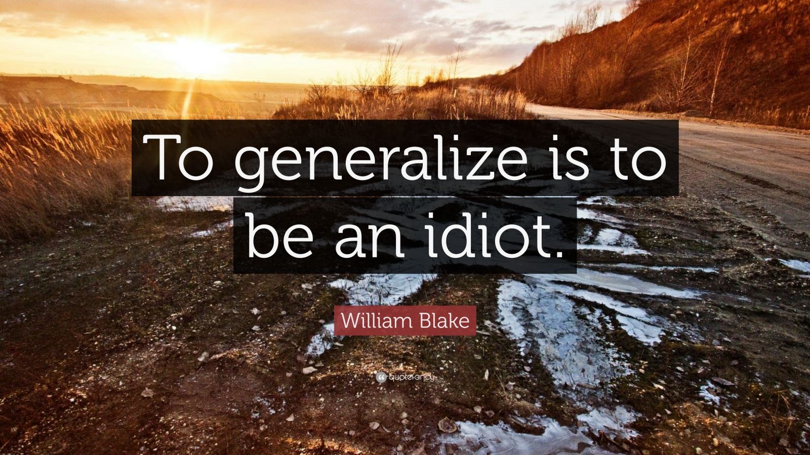William Blake Quote: “To generalize is to be an idiot.”