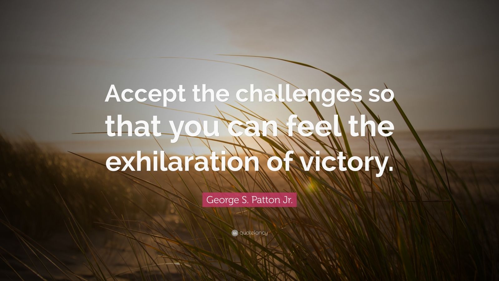 George S. Patton Jr. Quote: “Accept the challenges so that you can feel ...