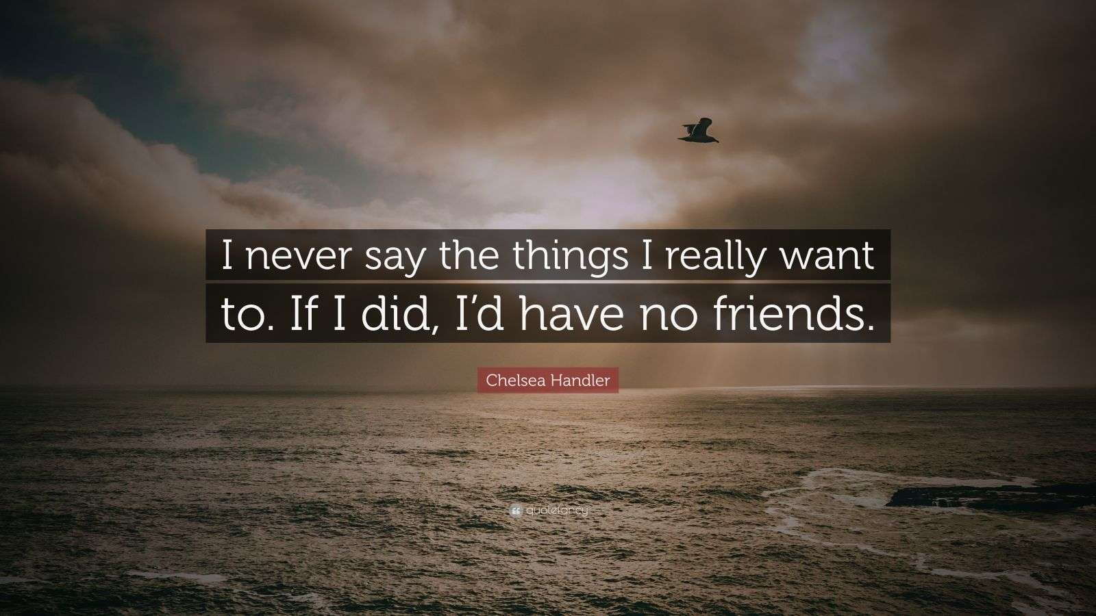 Chelsea Handler Quote: “I never say the things I really want to. If I ...
