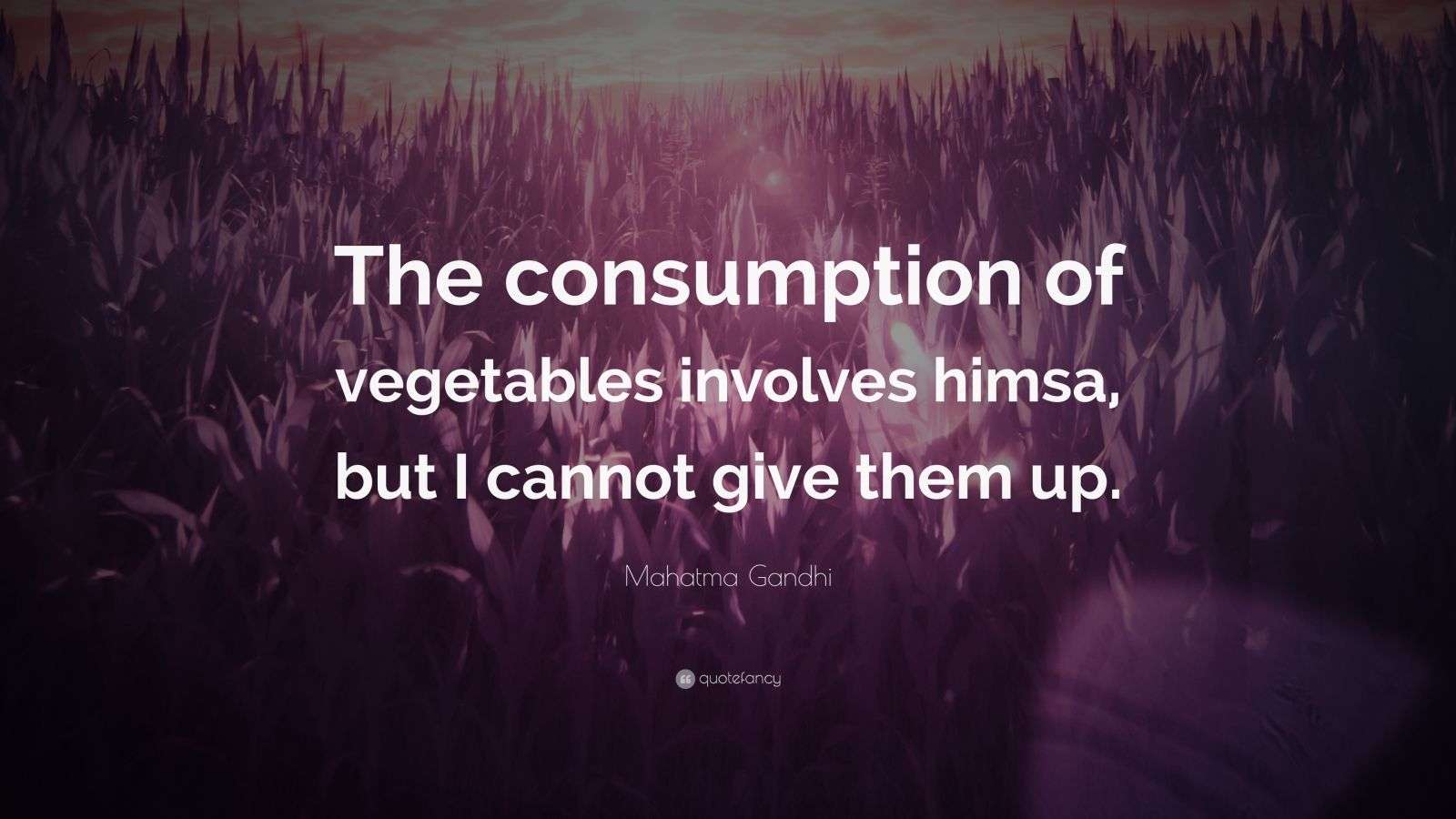 Mahatma Gandhi Quote: “The consumption of vegetables involves himsa ...