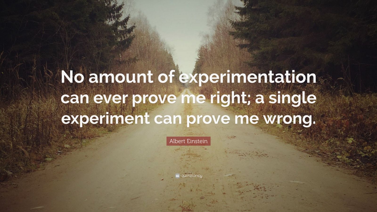 Albert Einstein Quote: “No amount of experimentation can ever prove me ...