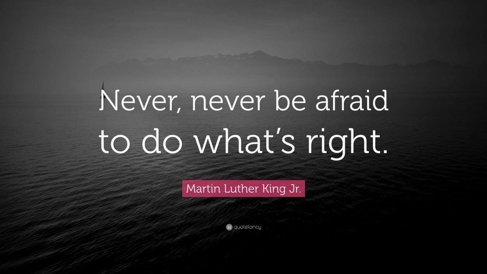Martin Luther King Jr. Quote: “Never, never be afraid to do what’s ...