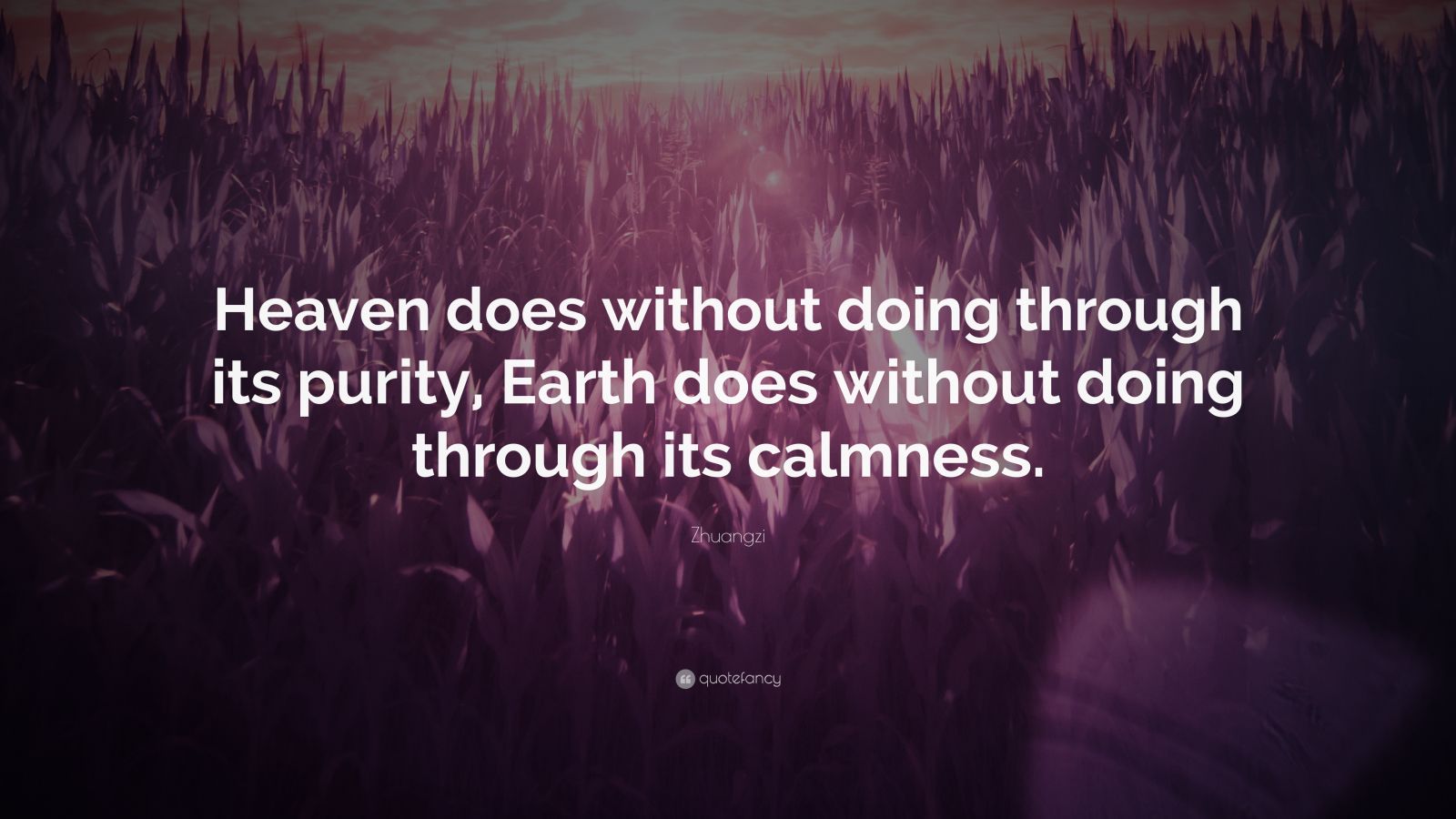 Zhuangzi Quote: “Heaven does without doing through its purity, Earth ...