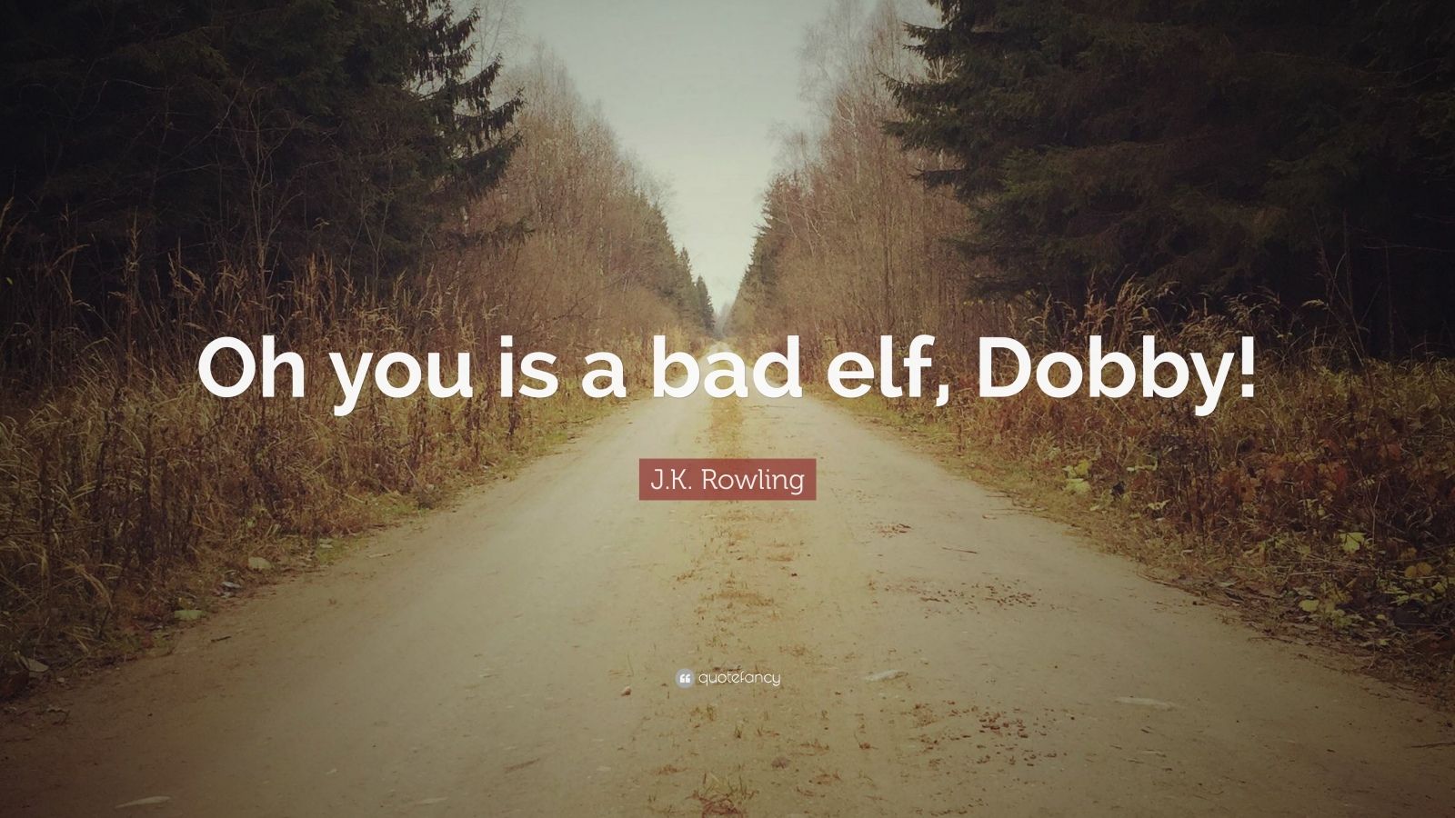 J.K. Rowling Quote: “Oh you is a bad elf, Dobby!” (12 wallpapers ...