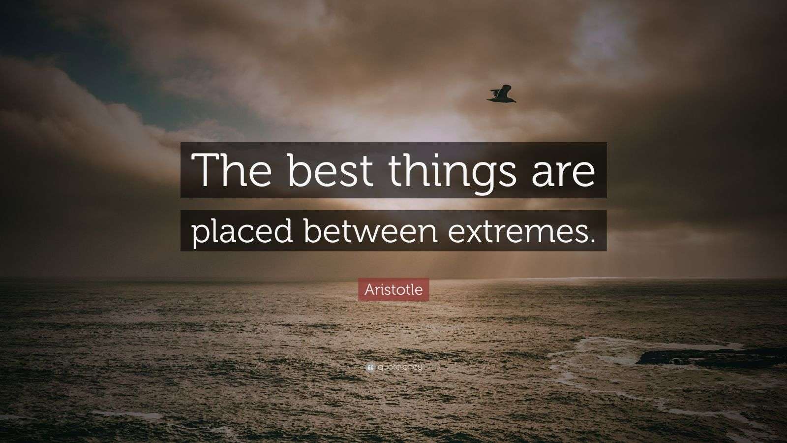 Aristotle Quote: “The best things are placed between extremes.”
