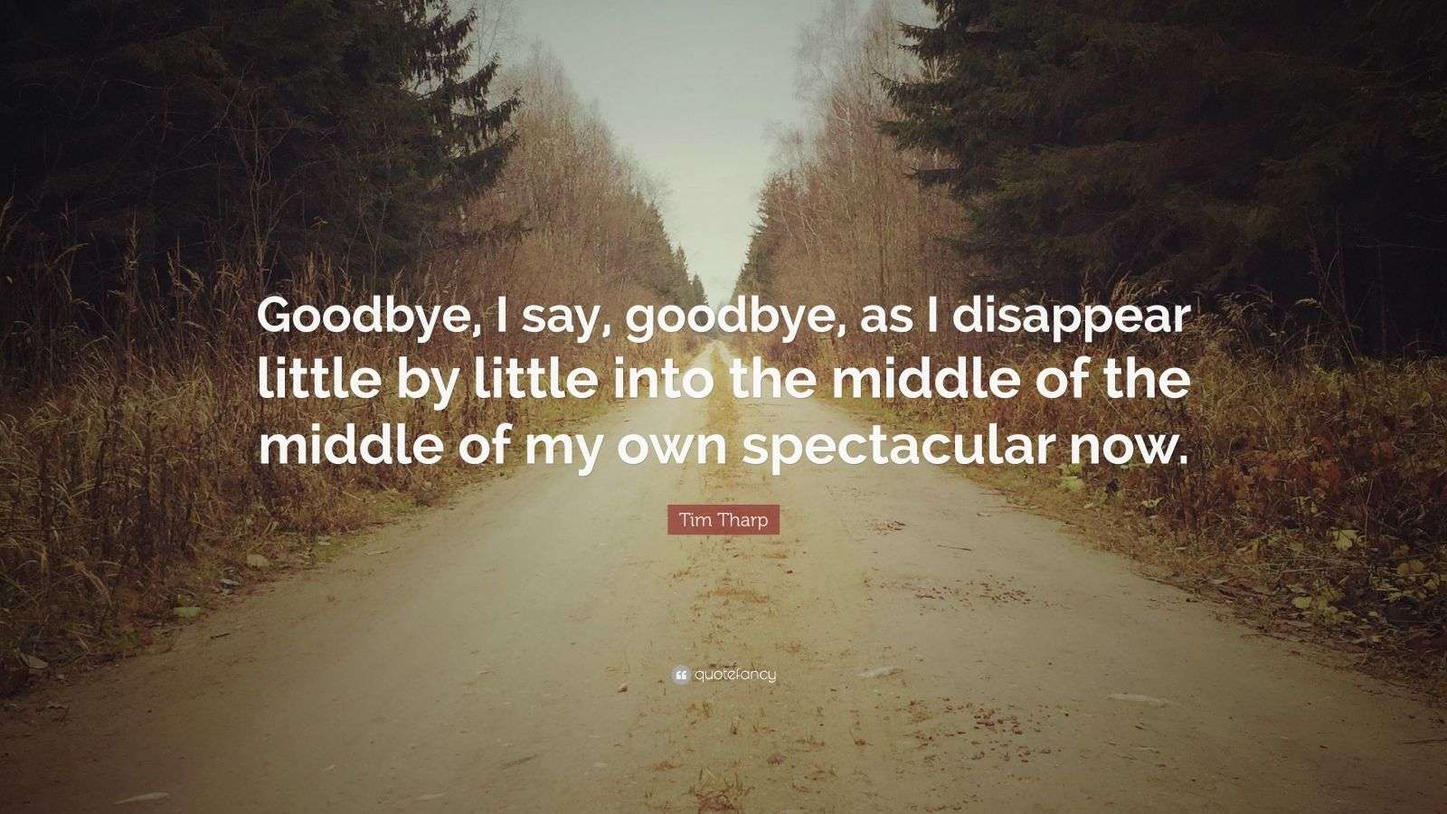 Tim Tharp Quote: “Goodbye, I say, goodbye, as I disappear little by ...