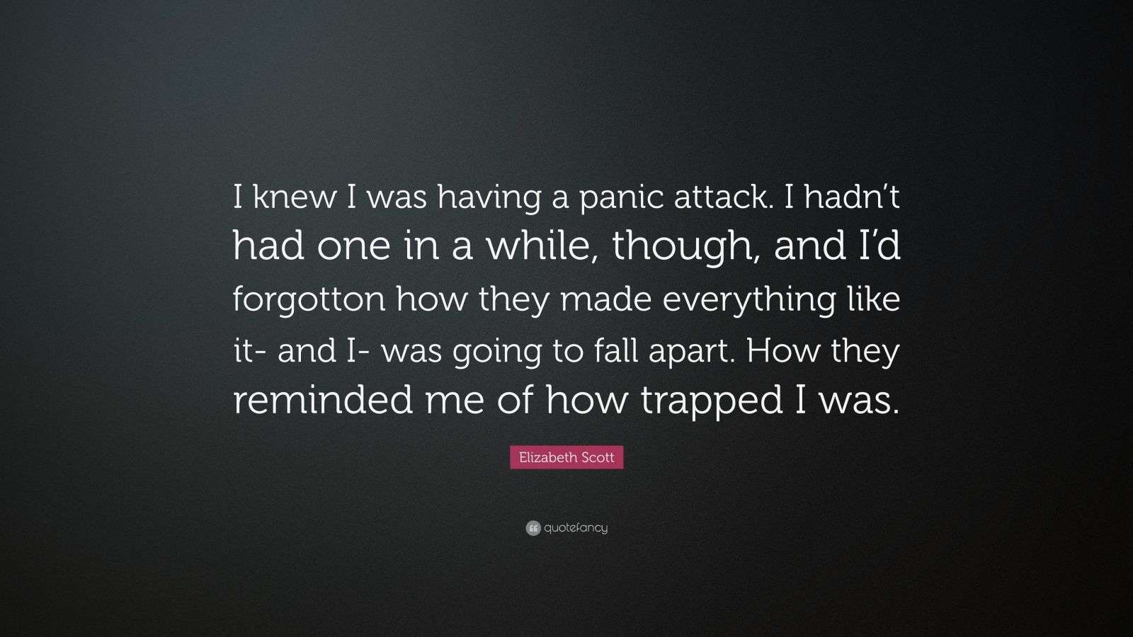 Elizabeth Scott Quote: “I knew I was having a panic attack. I hadn’t ...