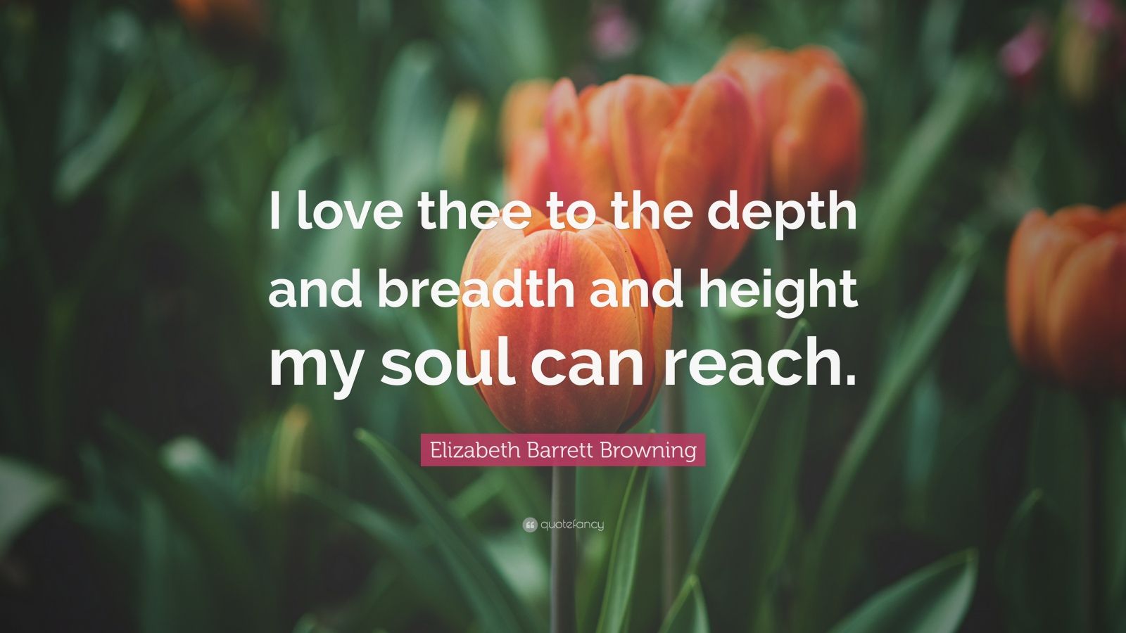Elizabeth Barrett Browning Quote: “I love thee to the depth and breadth ...