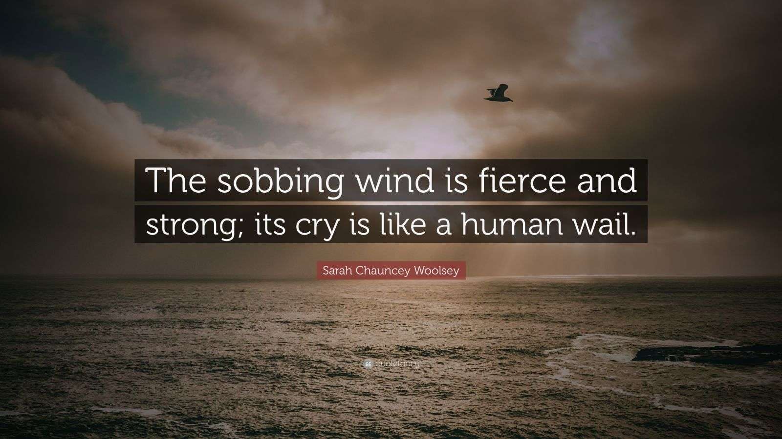 Sarah Chauncey Woolsey Quote: “The sobbing wind is fierce and strong ...